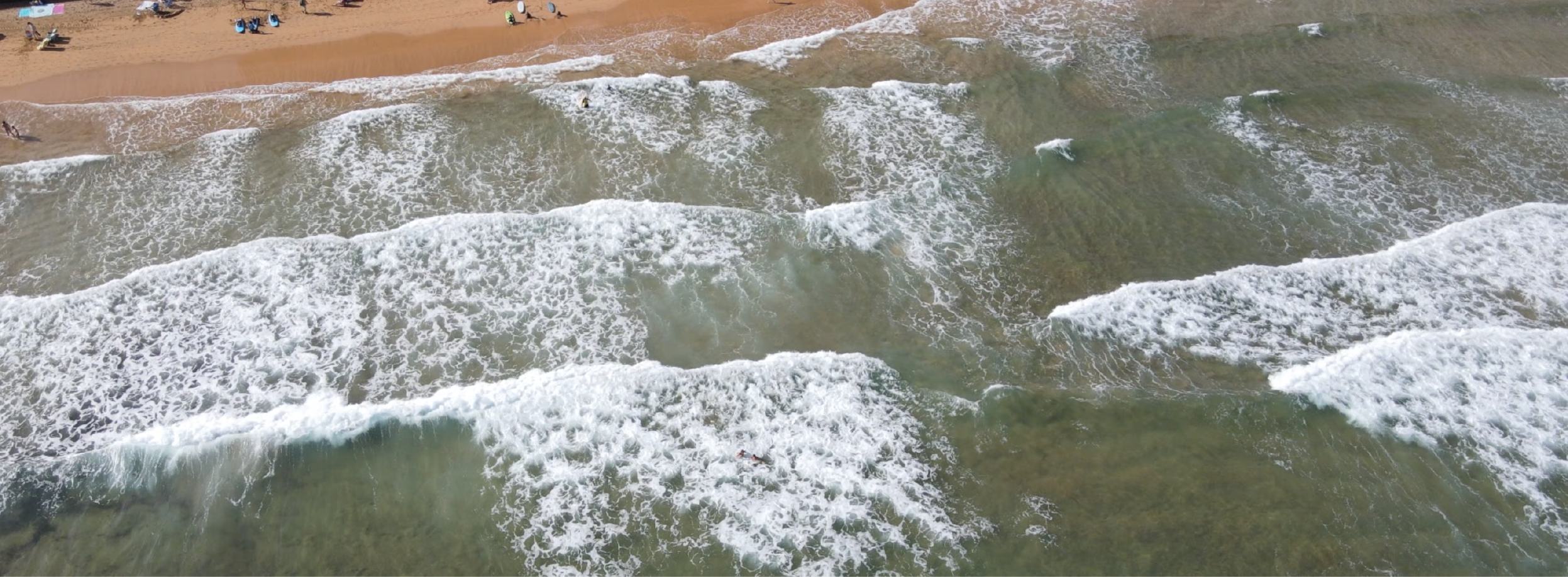 Open positions - Baranova Lab